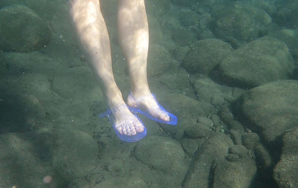 SPOTTED! Dude Jellies in the Wild - Dude Jellies